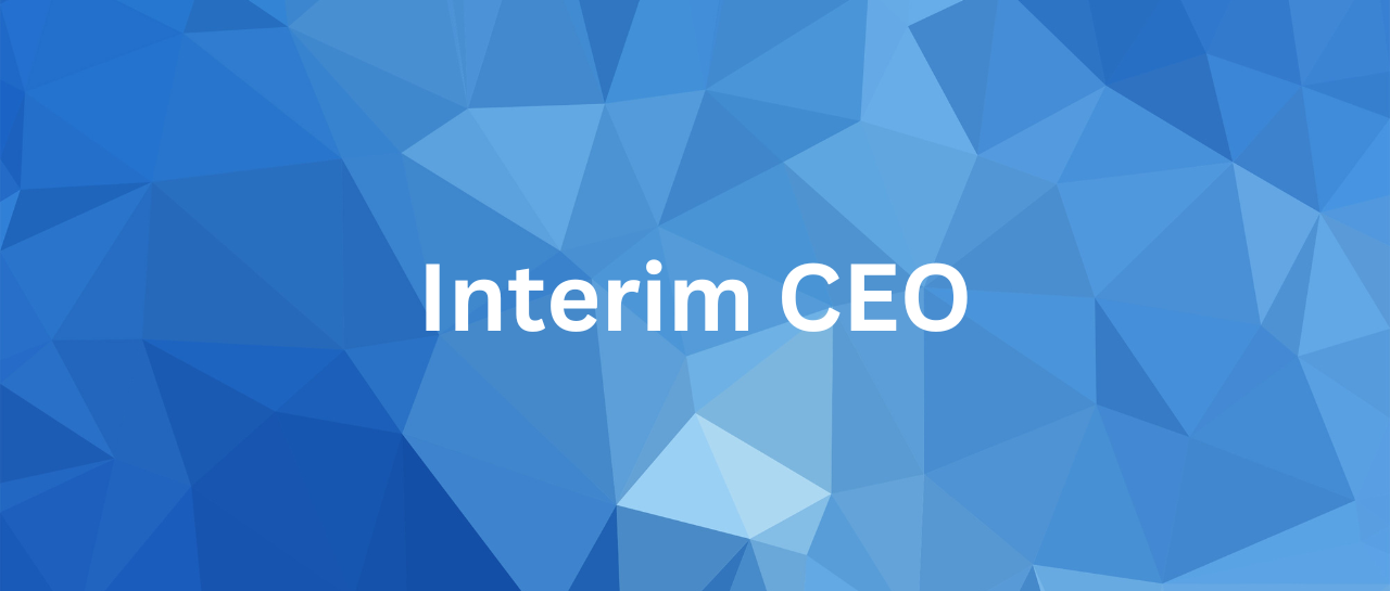 Interim CEO | Our interim managers